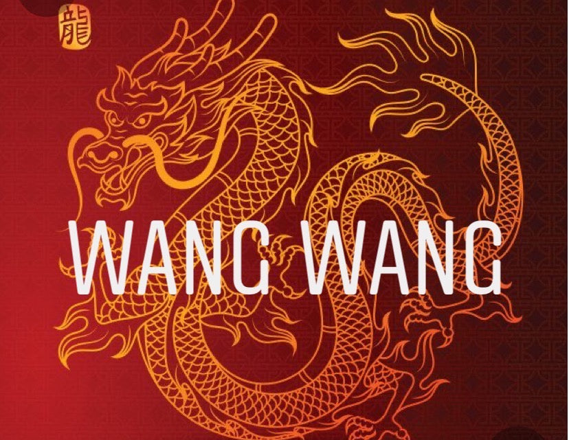 Wang_Wang_store